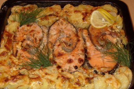 20 самых вкусных блюд из форели