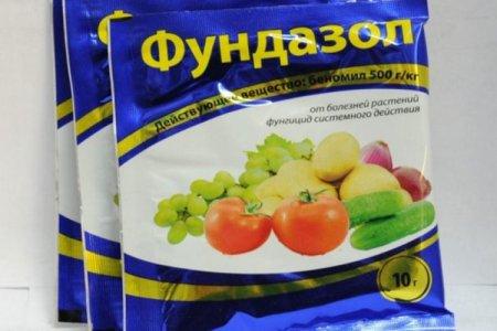 Фунгицид Фундазол: описание и инструкция по применению