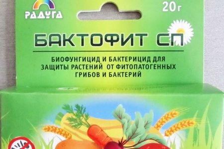 Фунгициды для растений - что это такое, список препаратов, как применять